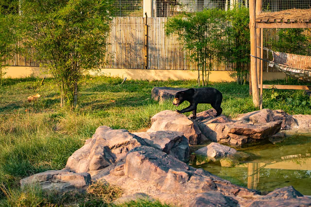 Wildlife Animal Park - Angkor Wildlife & Aquarium