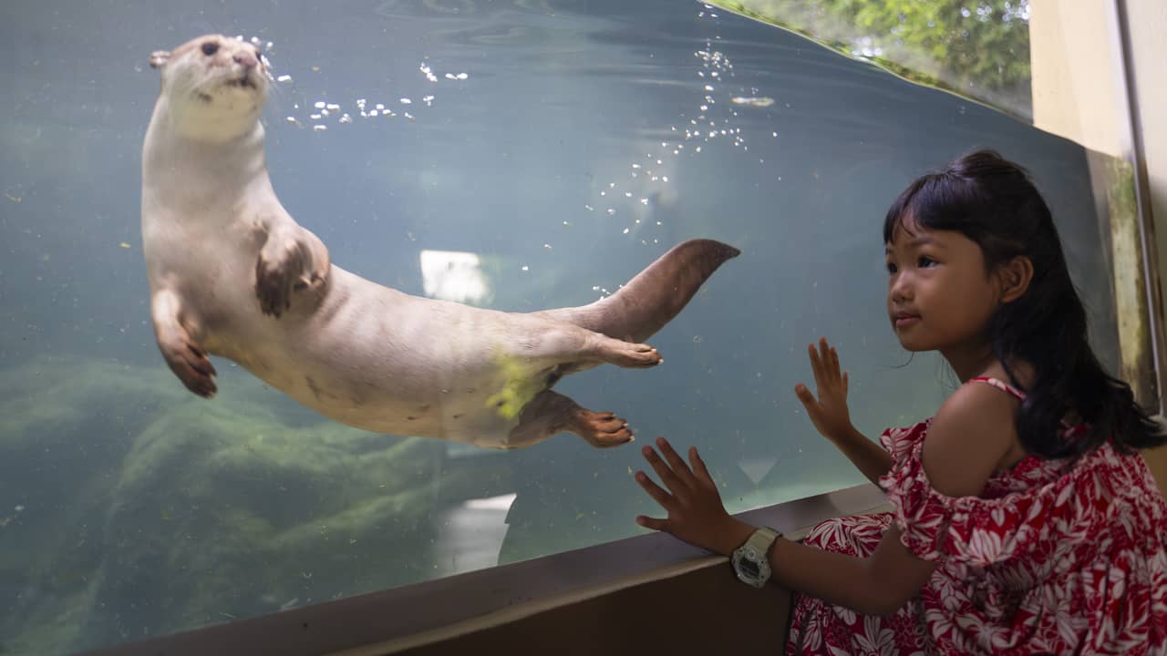 Wildlife Animal Park - Angkor Wildlife & Aquarium