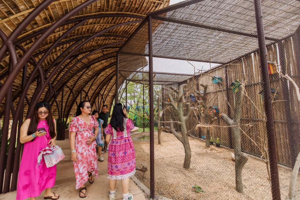 Main Attractions - Angkor Wildlife & Aquarium